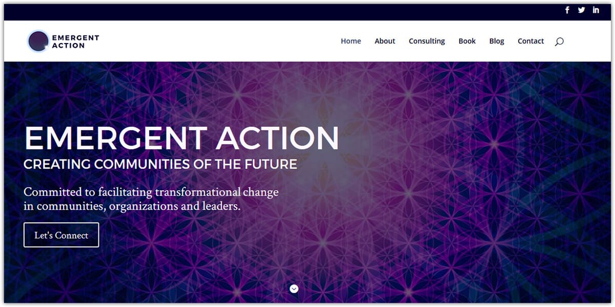 Emergent Action — Neil Richardson's Strategic Consulting Group